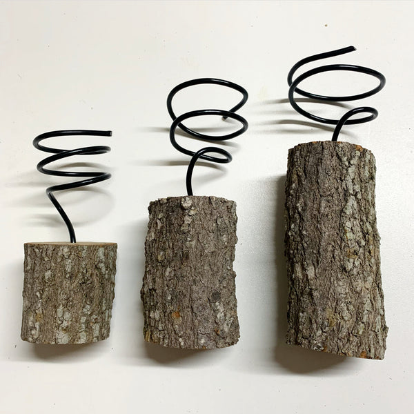 Tree Trunk Stand - Air Plant Decor