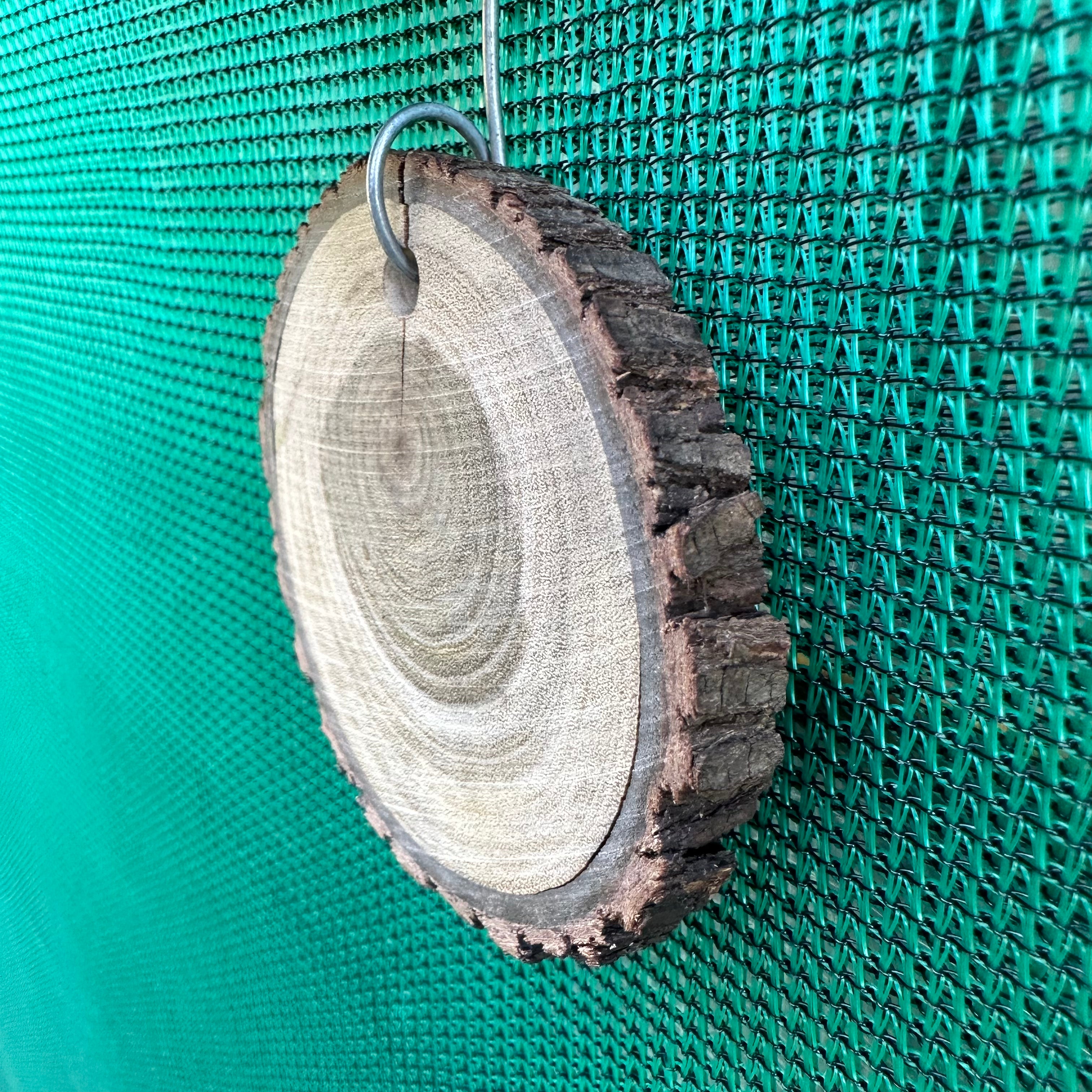 Timber Disk Hanger - Air Plant Decor