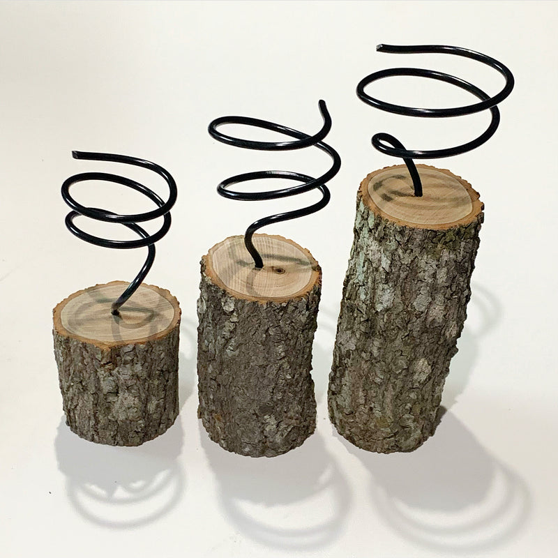 Tree Trunk Stand - Air Plant Decor